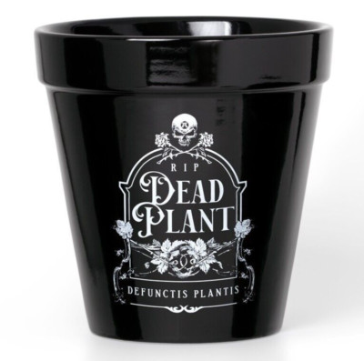 Alchemy Gothic Black RIP Dead Plant Pot Potter Skull Kitchenware Baking ...