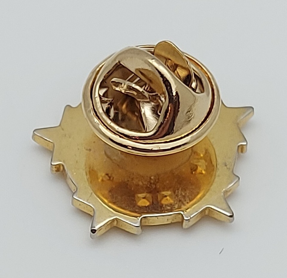 AAHS Six Star American Society of Hospitality Sciences vintage metal ...