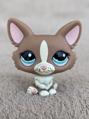 LPS Littlest Pet Shop #1864 Blythe Corgi Brown White Blue Eyes | eBay UK