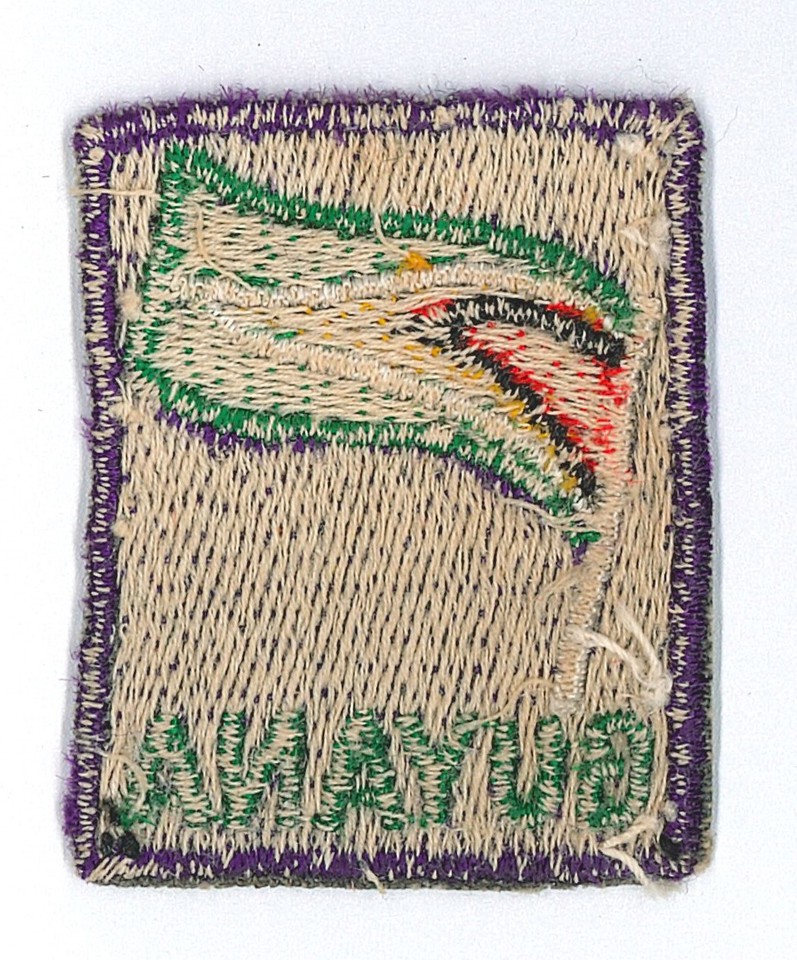 SCOUTS OF GUYANA - NATIONAL FLAG EMBLEM SCOUT PATCH | eBay