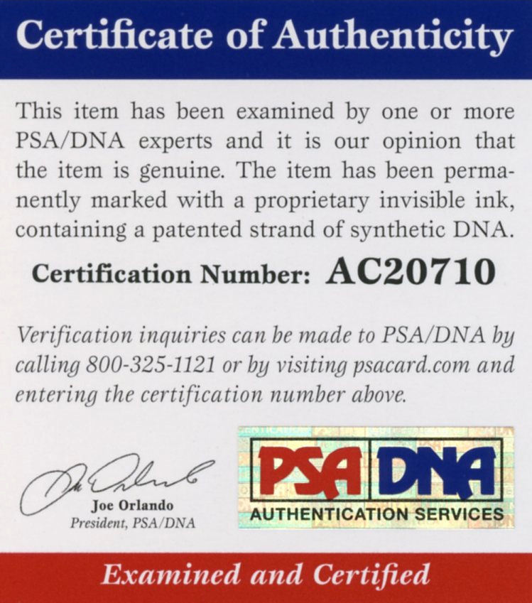 Nia Long Signed PSA/DNA COA 8X10 Sexy Nude Photo Auto Autograph ...