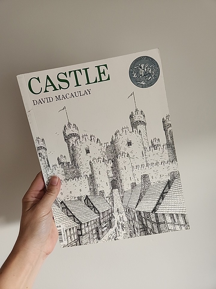 David Macaulay 3 Book Lot - Castle, Cathedral, & City 9780395175132 | eBay