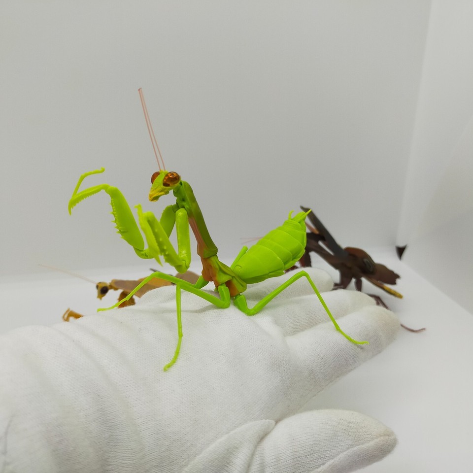 Bandai Gashapon Mantis Figure 4" to 5" Big Kamakiri Insect Bug Direct ...