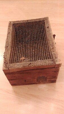 Primitives - Mouse Trap