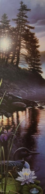 Sunlit Silence Signed Artist Proof Print by Daniel Renn Pierce - Loons ...
