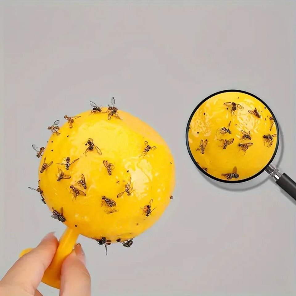 Yellow Sticky Fly Trap Bug Insect Catcher Trap Balls Insect Killer ...