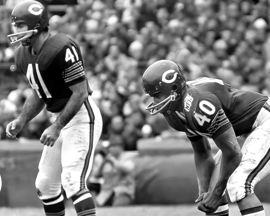 Brian Piccolo & Gale Sayers, Chicago Bears B&W 8x10 Photo. Free ...