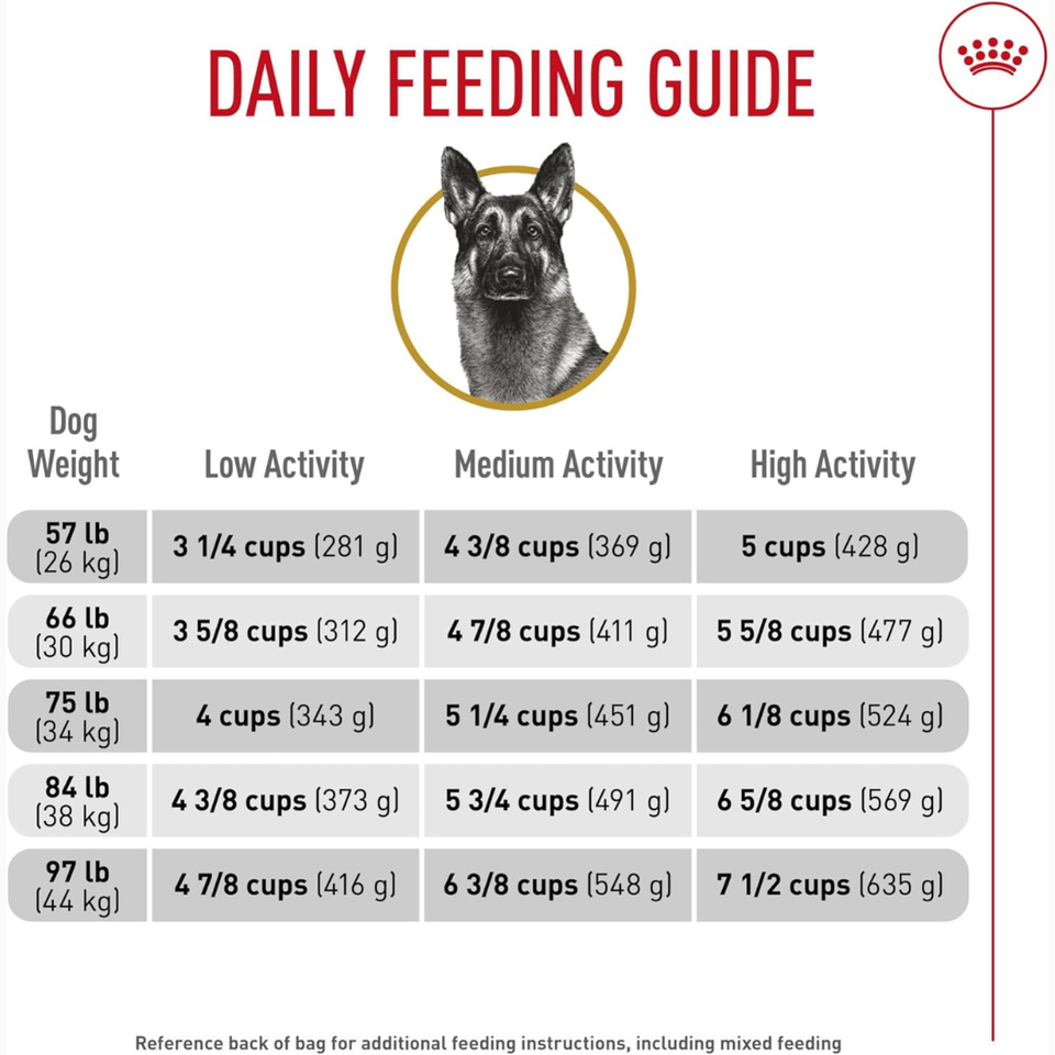 Royal Canin Breed Health Nutrition German Shepherd Adult Dry Dog Food ...