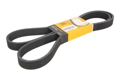 V-Ribbed Belt CONTITECH 8DPK1833 | eBay Australia