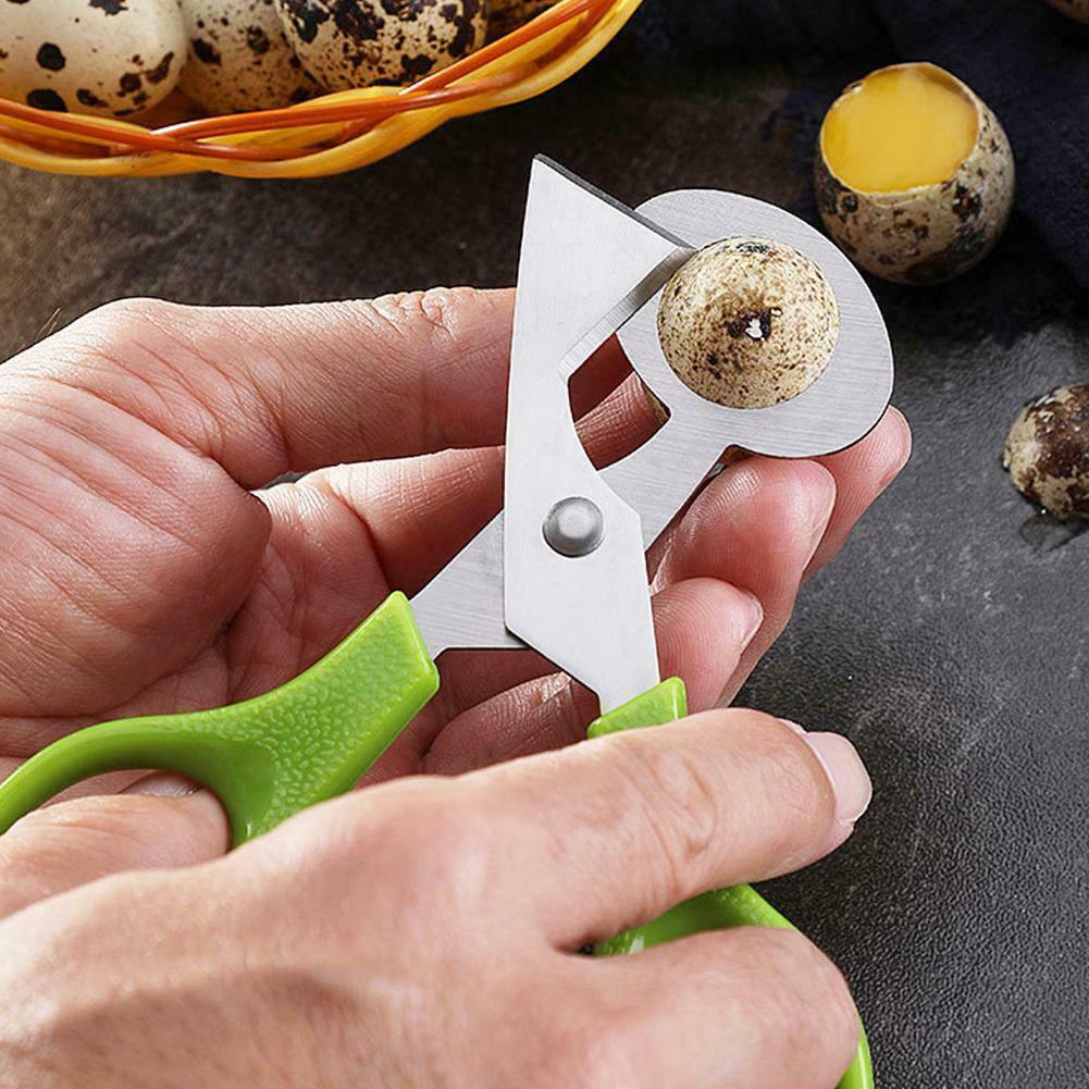 Pigeon Quail Egg Scissors Cracker Opener Cigar Cutter Neu Steel Home ...