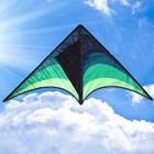 Large Delta Kite For Kid And Adults Single Line Easy Kite Handle F7S7 ...