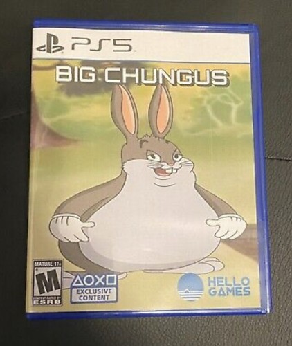 NEW HD COVER - Big Chungus PS5 Game Case ONLY - CUSTOM | eBay