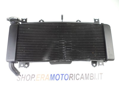 Coolant Water Radiator Original KAWASAKI Z650 2021 | eBay