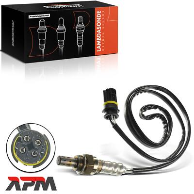 Sonda Lambda Avanti Catalizzatore per BMW 3er E36 E46 5er E39 7er E38 Z3 E36 E85 | eBay