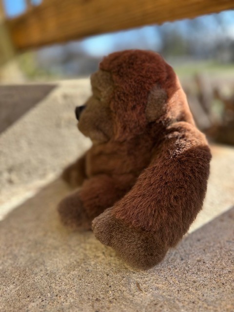 Dark Brown Gorilla Plush Riller Side Eye Coco Dark Brown Stuffed Animal ...