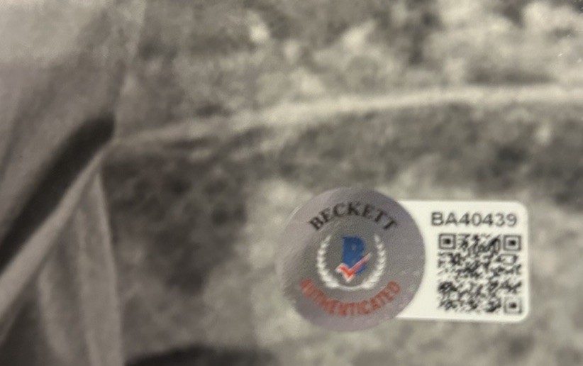 Judith O’Dea Russ Streiner Signed 11x14 Photo Beckett BAS Night Living ...