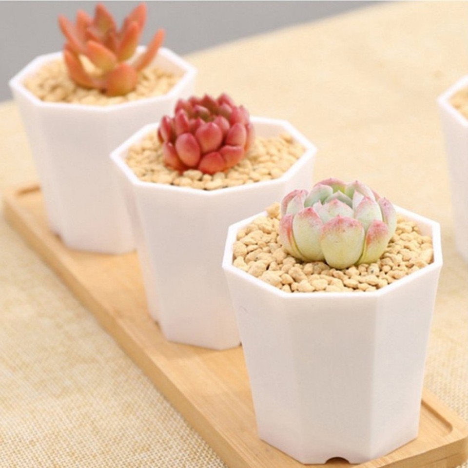 10 Pcs Octagonal Flower Pot Succulent Small Planter Pots Simple ...