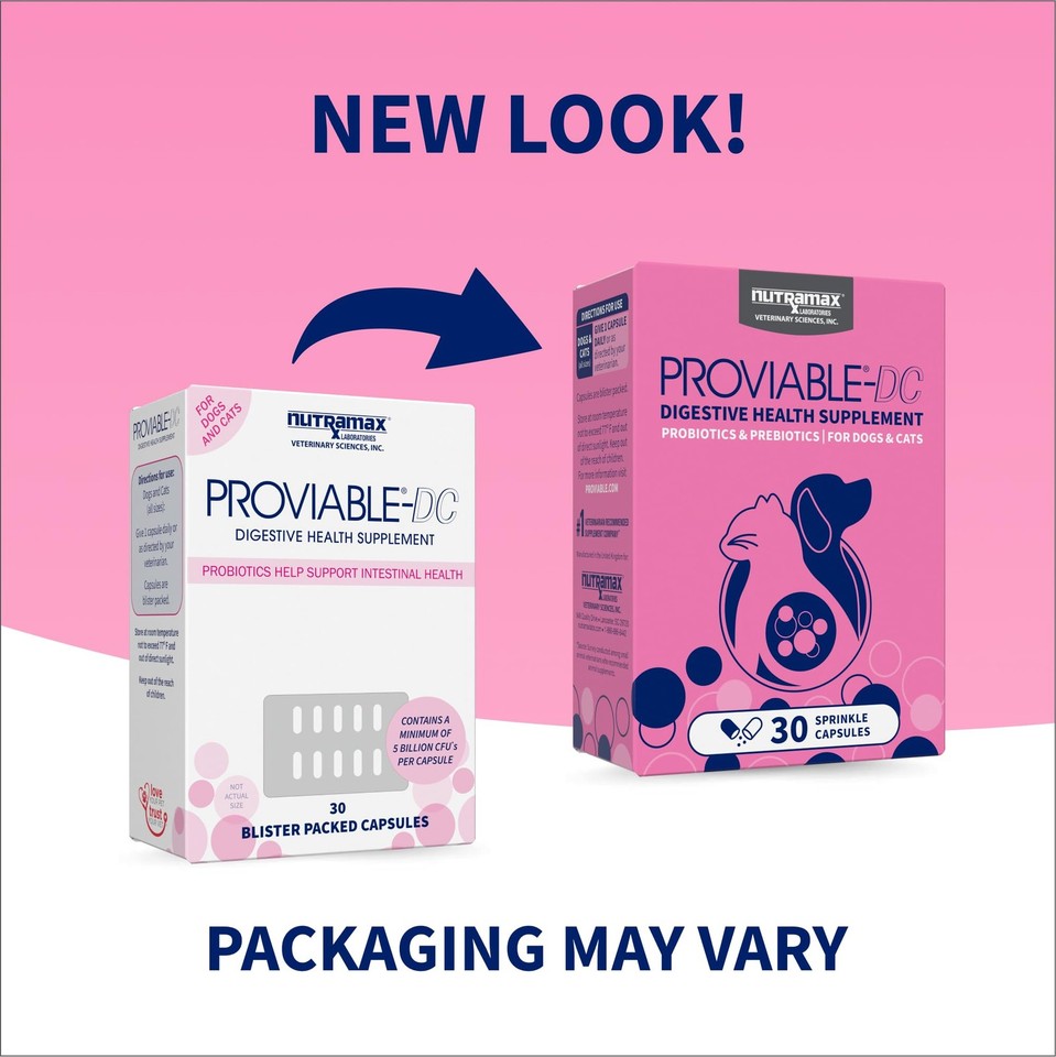 Nutramax Proviable Probiotics for Dogs and Cats, Daily Digestive 30 ...