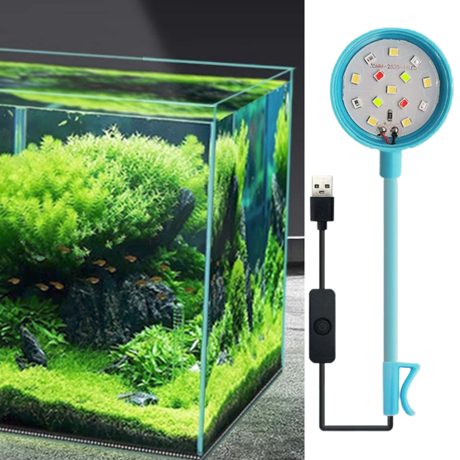 Energy-saving Lanterns for Fish Tanks High-quality Light Source ...