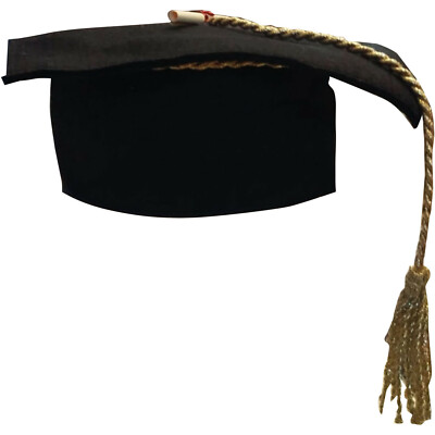 Graduation Party Hat Cap 25x25cm Felt Gold Cord Mini Scroll | eBay
