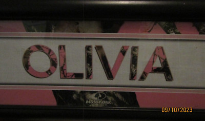 24 in. x 8 in. glass front framed personalized OLIVIA print by Mossy ...