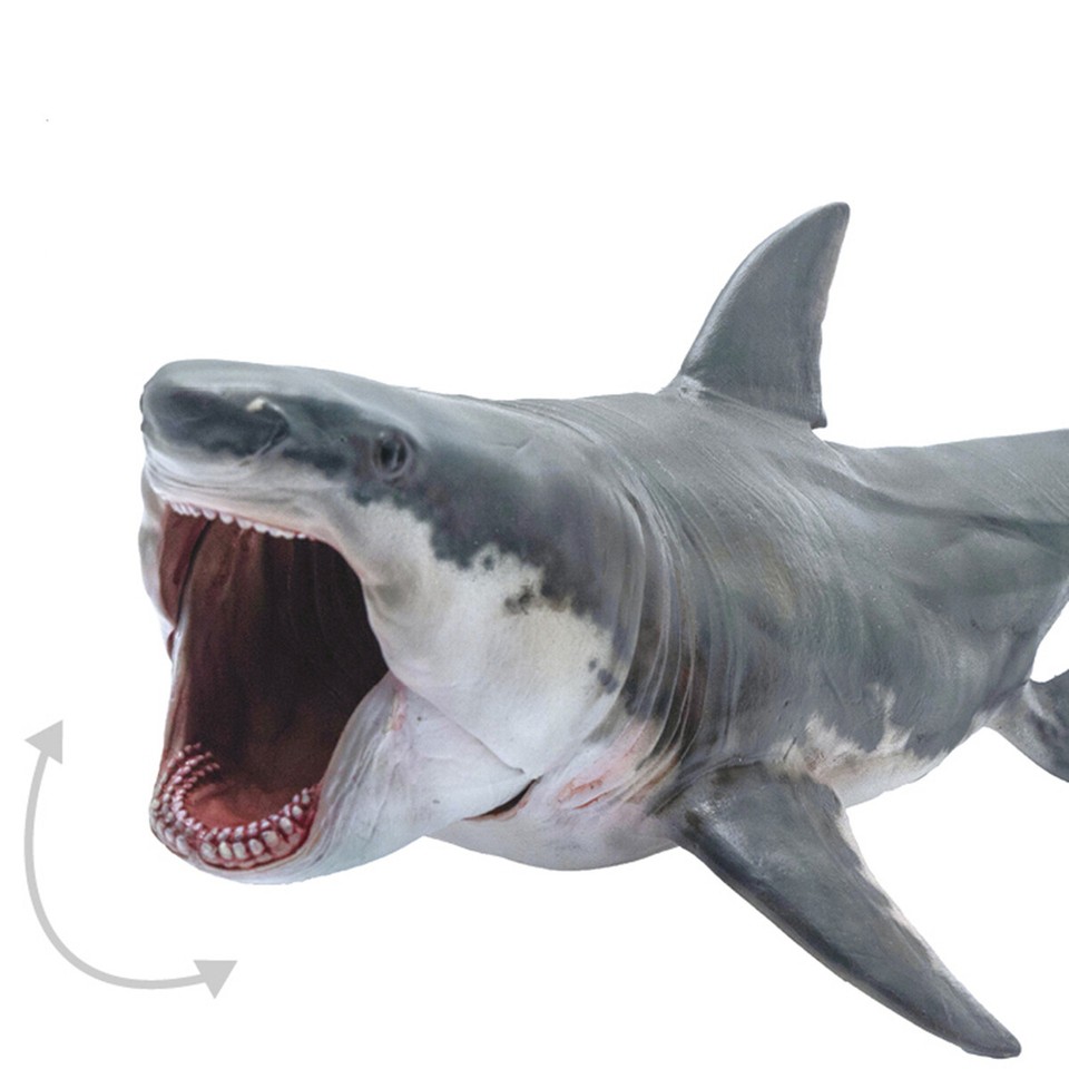 PNSO Megalodon Model Figure Action Shark Ocean Animal Collection Kids ...