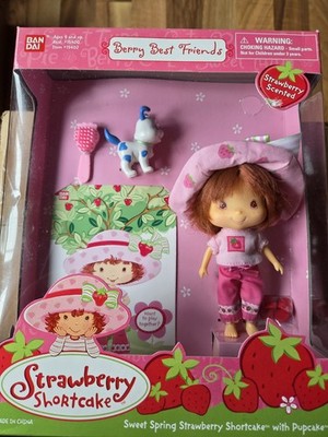 "Berry Best Friends" Strawberry Shortcake And Pupcake. Bandai 2002 | eBay