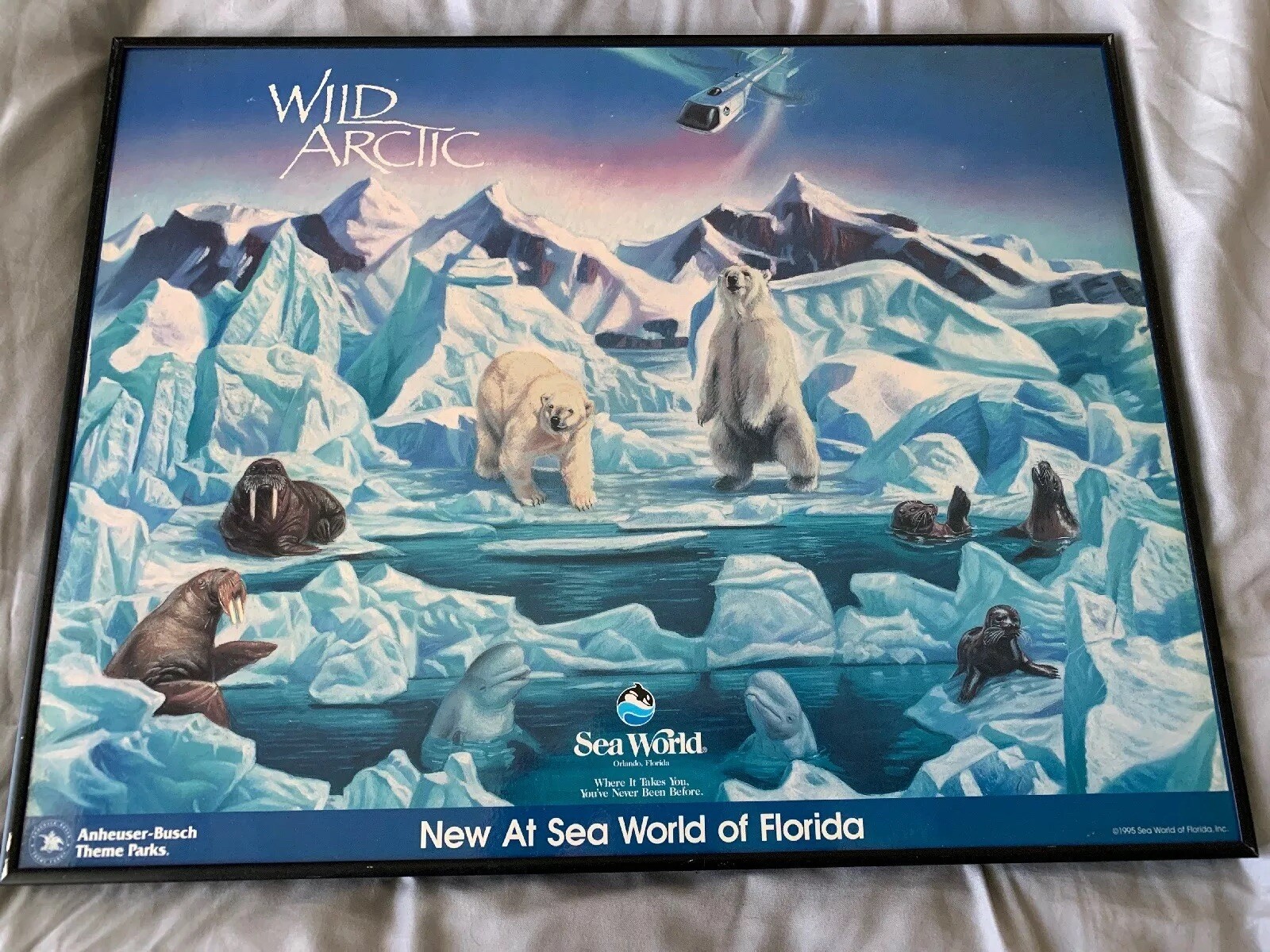 Wild Arctic Seaworld Gift Shop