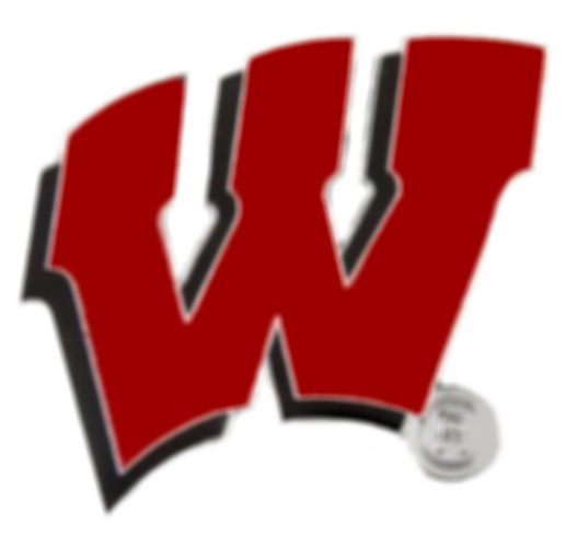 Wisconsin Badgers Pins University of Wisconsin Pins W Logo College NCAA ...