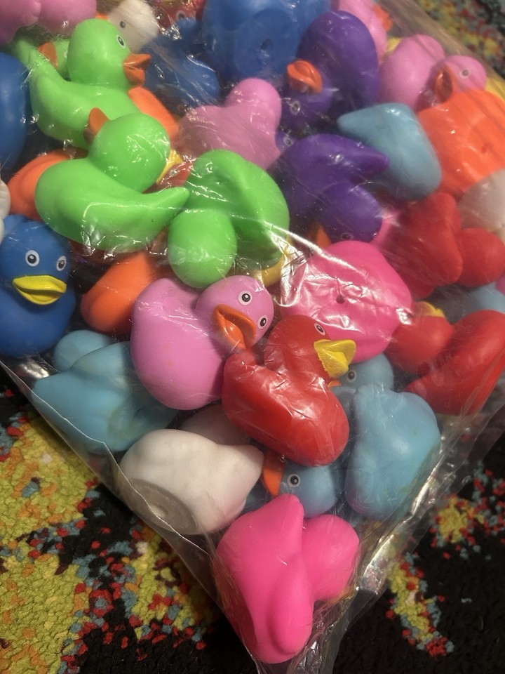 100 Assorted Rubber Ducks (Neon/Solid colors) The Rubber Duckery Jeep ...