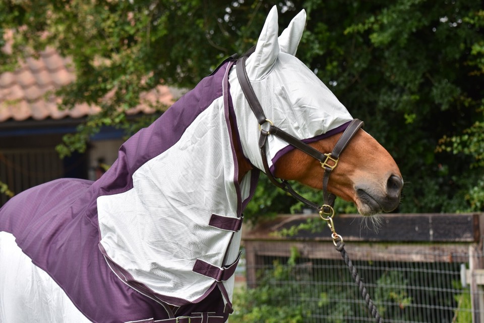 Horse Fly Rug With Neck Combo Waterproof Fly Rug 600D Top With Free Fly ...