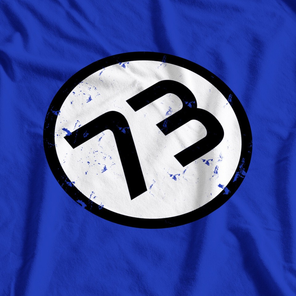 Sheldon Cooper 73 Perfect Number Inspired by Big Bang Theory Printed T ...