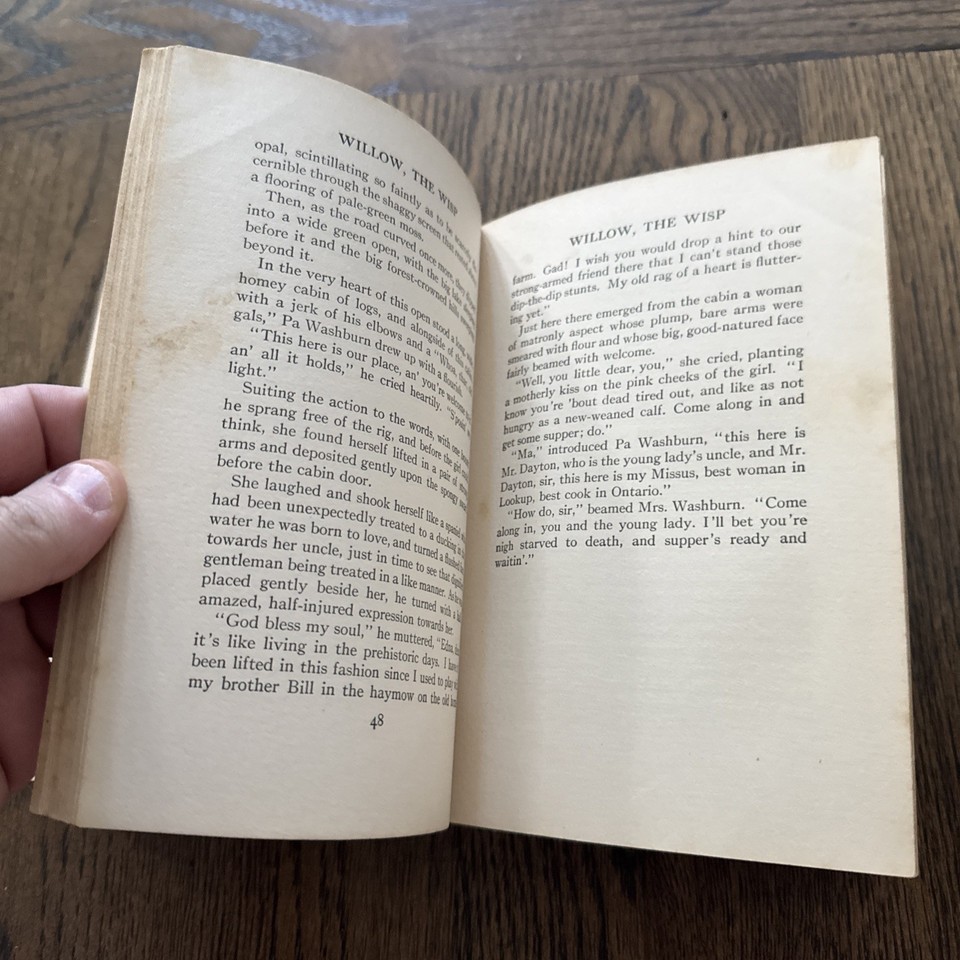 Willow, the Wisp Archie P. McKishnie 1918 HC Vintage Book Antique ...