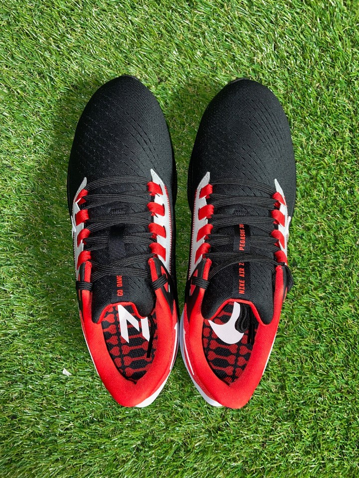 Nike Zoom Pegasus 38 Georgia Bulldogs UGA Dawgs Shoes Mens 12.5 DJ0828 ...