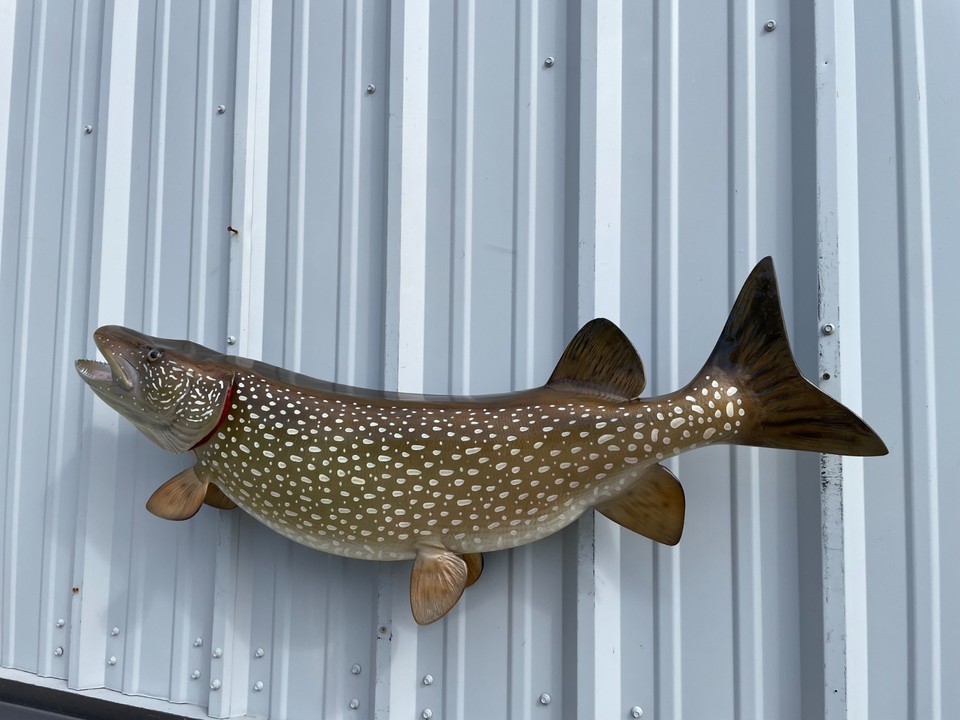 45" Northern Pike Two Sided Fish Mount Replica - Quick Production | eBay