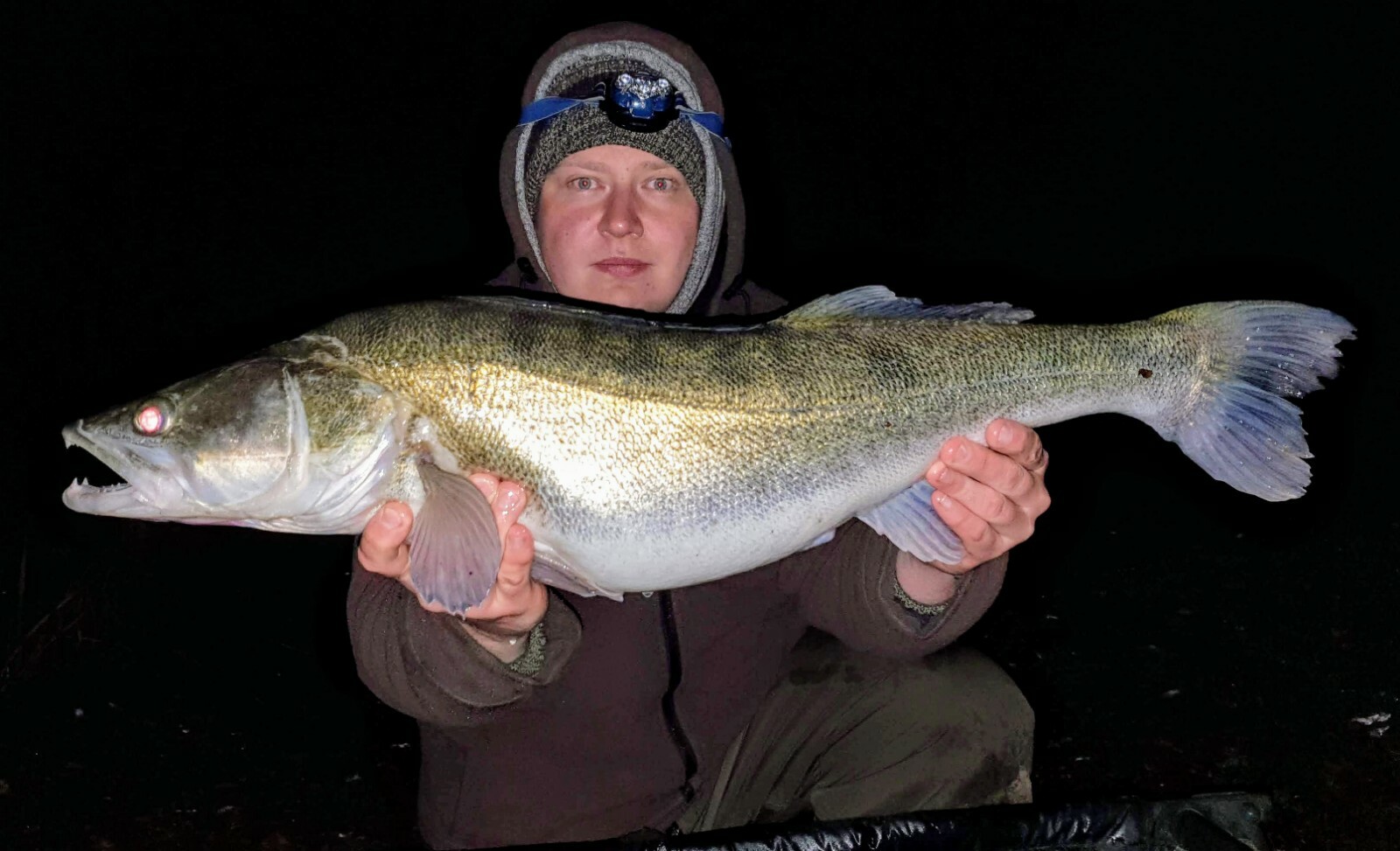 Pike Deadbait Rigs - Pike Zander Traces - Fishing Dead Bait Rig UK POST ...