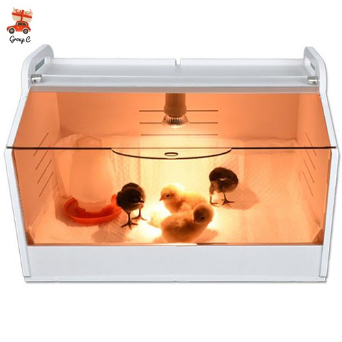 220V Poultry Chick Brooder Warm Keeping Box | Brooding Incubator ...