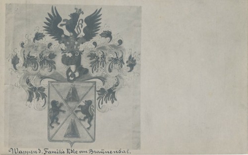 Nr.28521 Foto PK Steyr Wappen der Familie Edle von Braunendal 1913 O.Ö ...