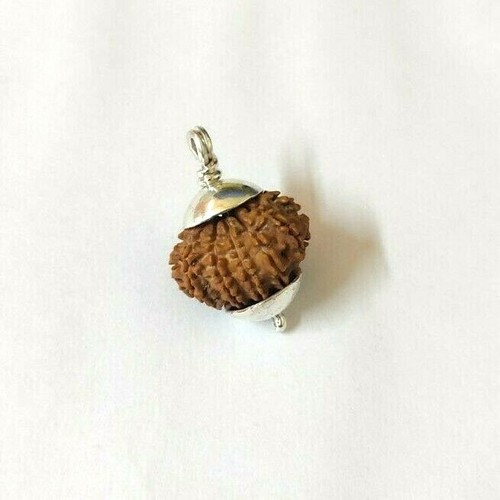 13 Mukhi Rudraksha / Thirteen Face Rudraksha Nepal Origin Pure Silver ...