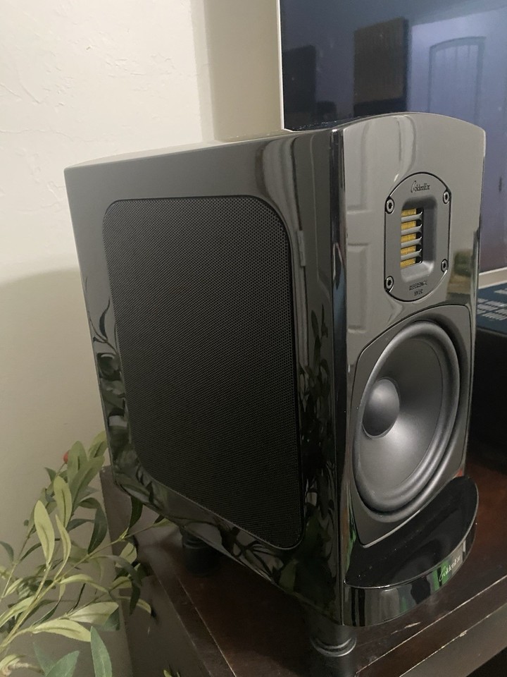 GoldenEar Technology Bookshelf Reference X (BRX) Speakers (Pair) | eBay