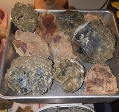 (14 LBS) = 7 to 10 Uncut Oregon Thundereggs HALVES Rough Geode ~ FREE ...