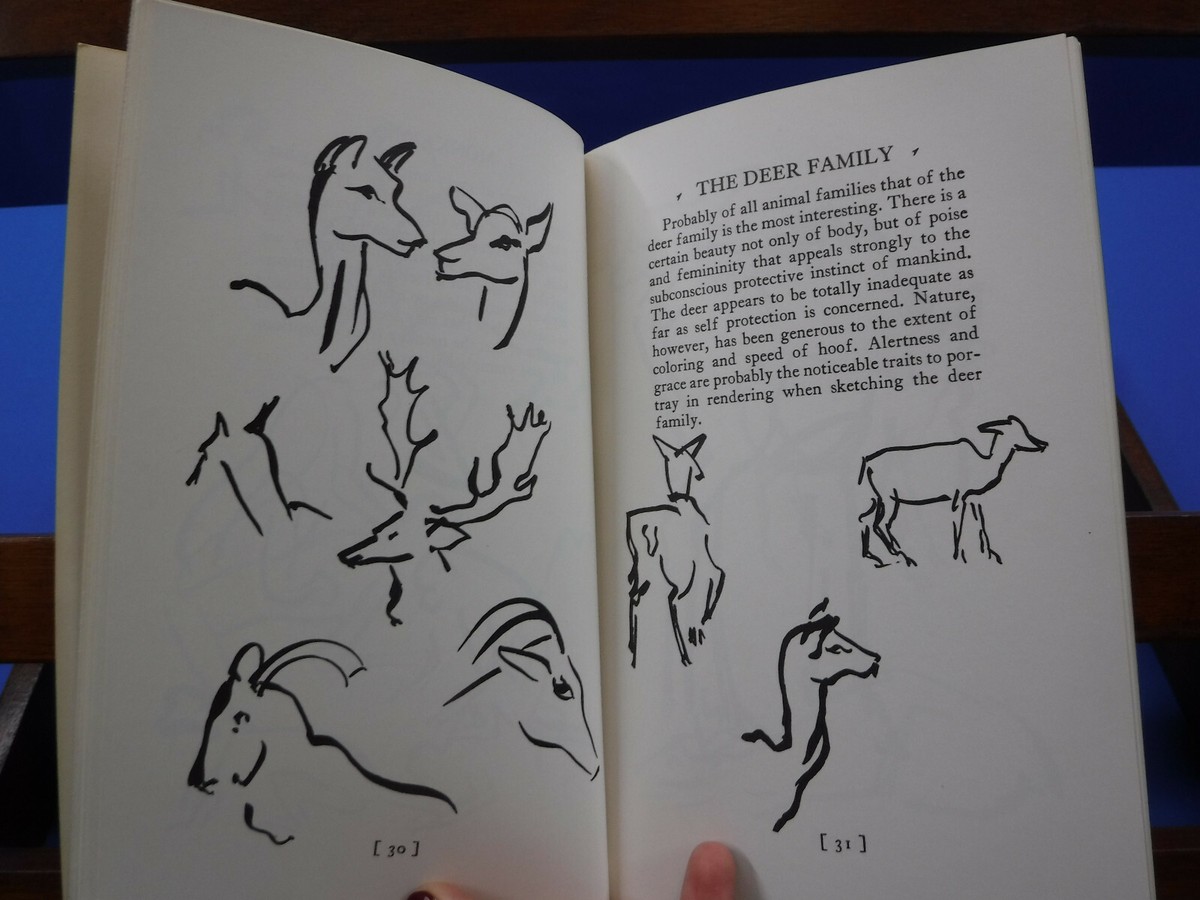 Alexander Calder Animal Drawings