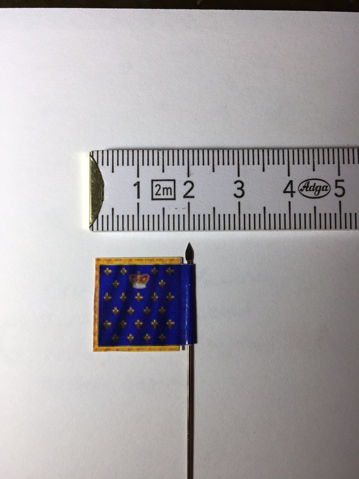 586)1x 25mm 28mm ECW Flag Royalists The Queen‘s Lifeguards’ Horse ...