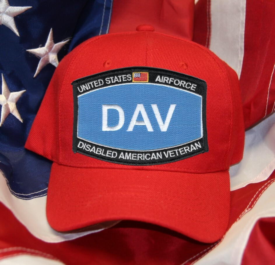 DISABLED AMERICAN VETERAN DAV USAF HAT PATCH CAP US AIR FORCE PIN UP ...