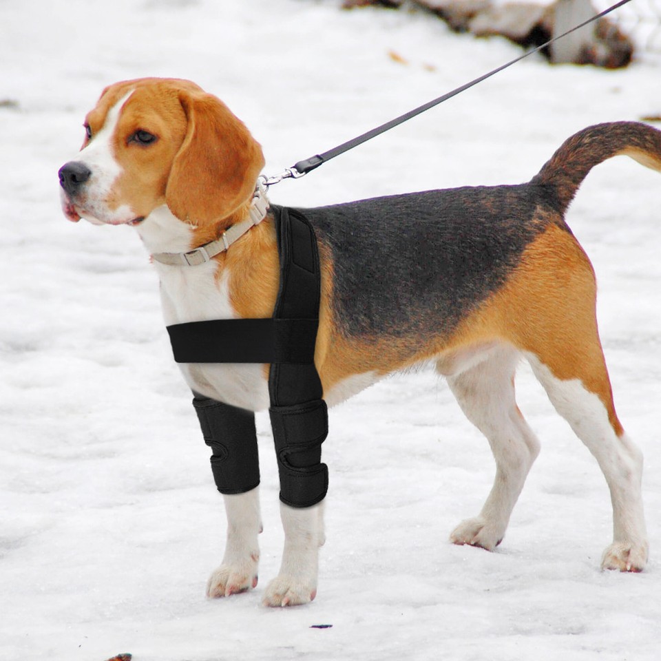 Dog Front Legs Brace Hock Wraps Bandage Help Wounds Compression Joint ...