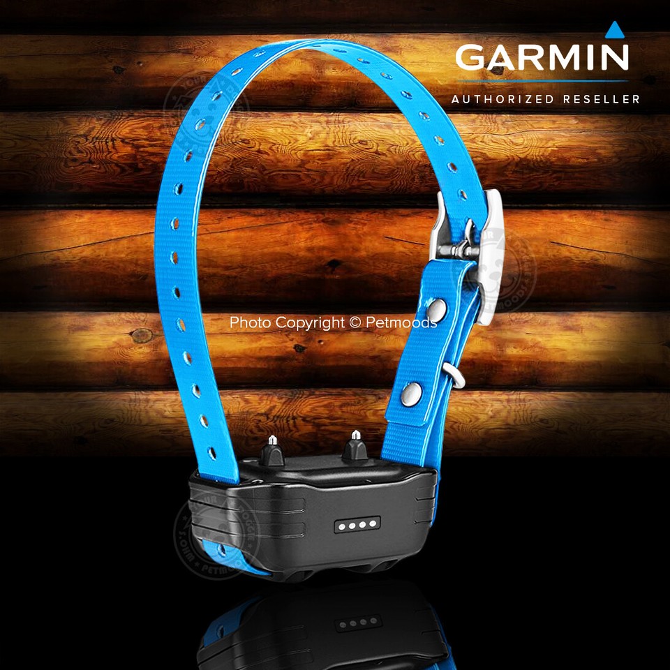 Garmin PT10 Additional Dog Device Blue Collar Strap - Sport PRO, PRO 70 ...