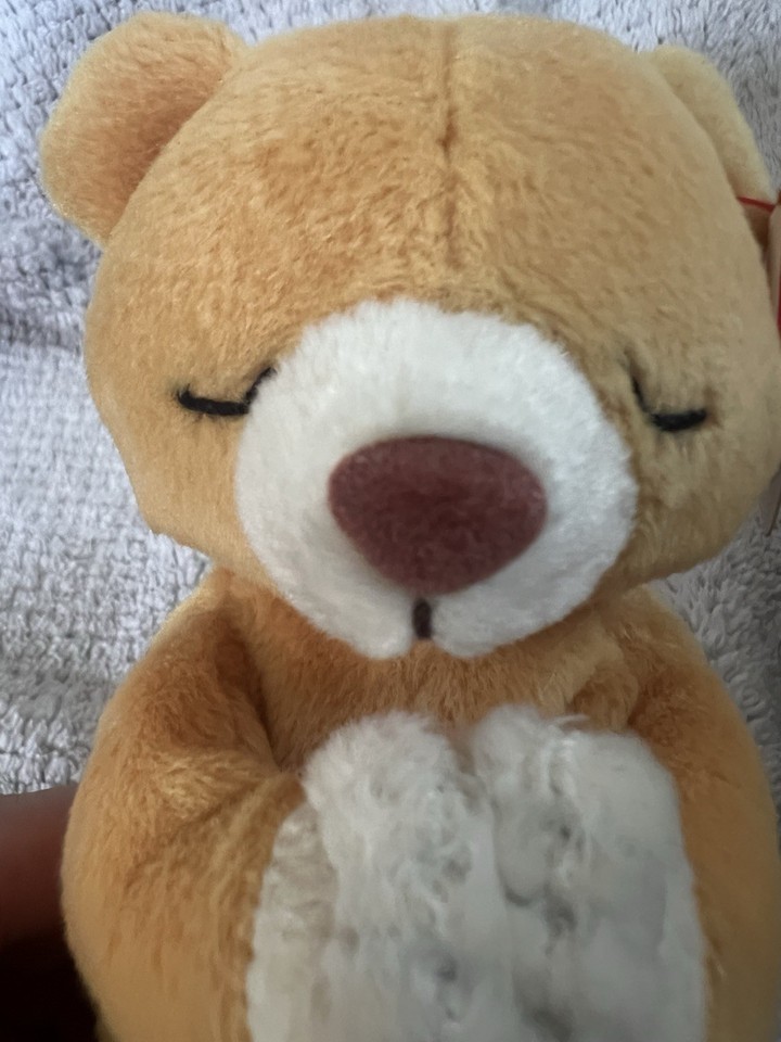 Ty Hope Beanie Baby Eye, Tag, And Paw Errors | eBay