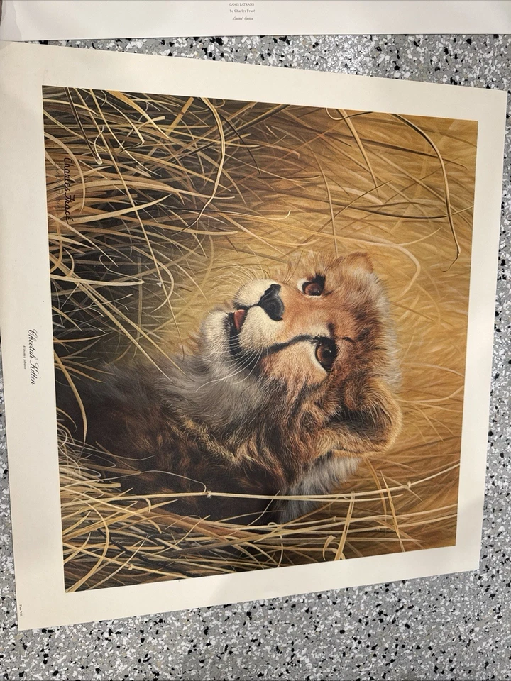 Charles Frace Prints for sale | eBay