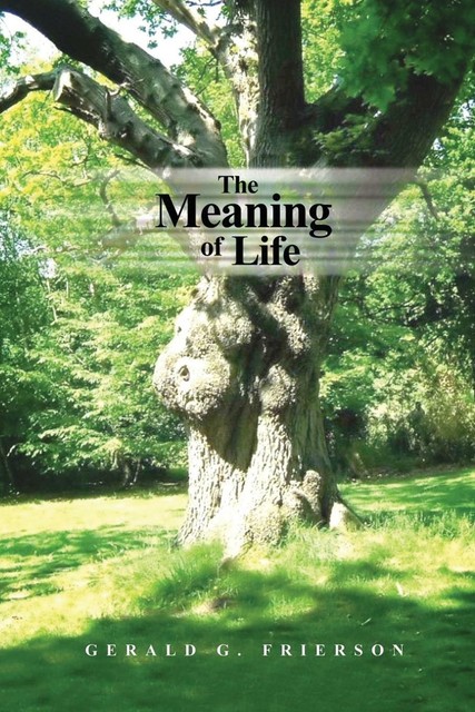 The Meaning of Life von Gerald G. Frierson (2020, Taschenbuch) online ...