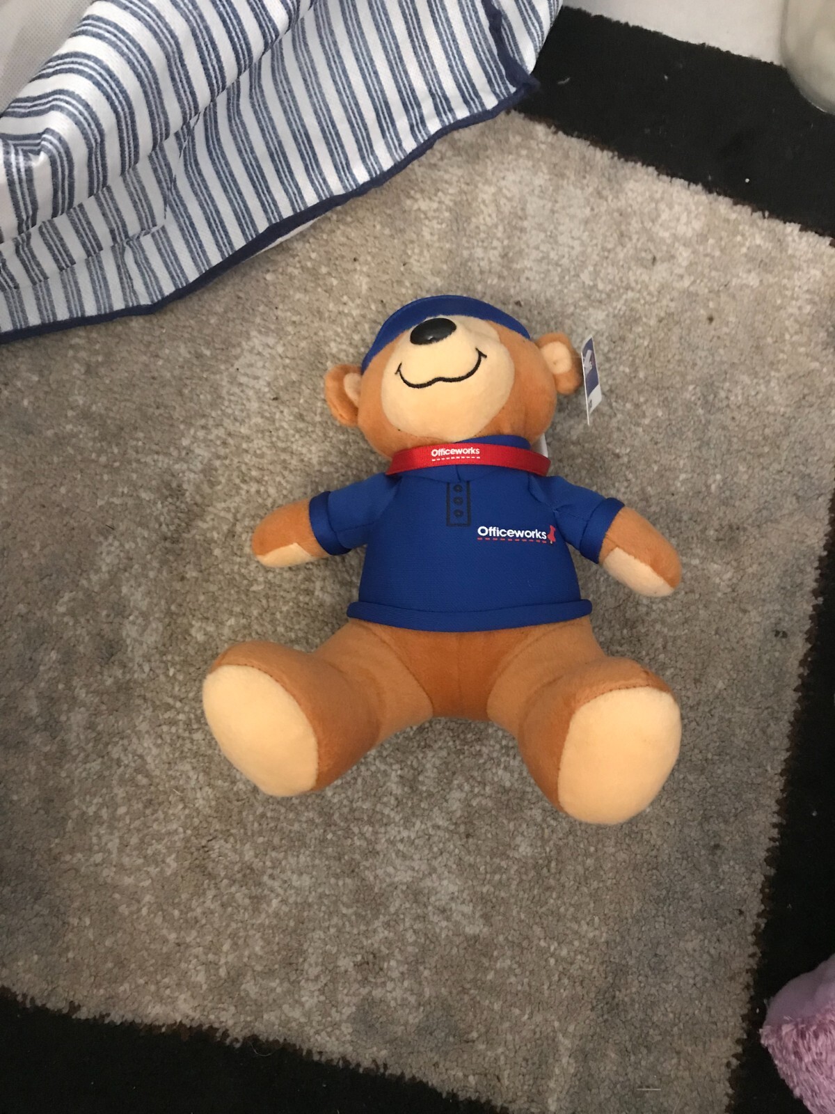 Ollie Bear form Office Works | eBay